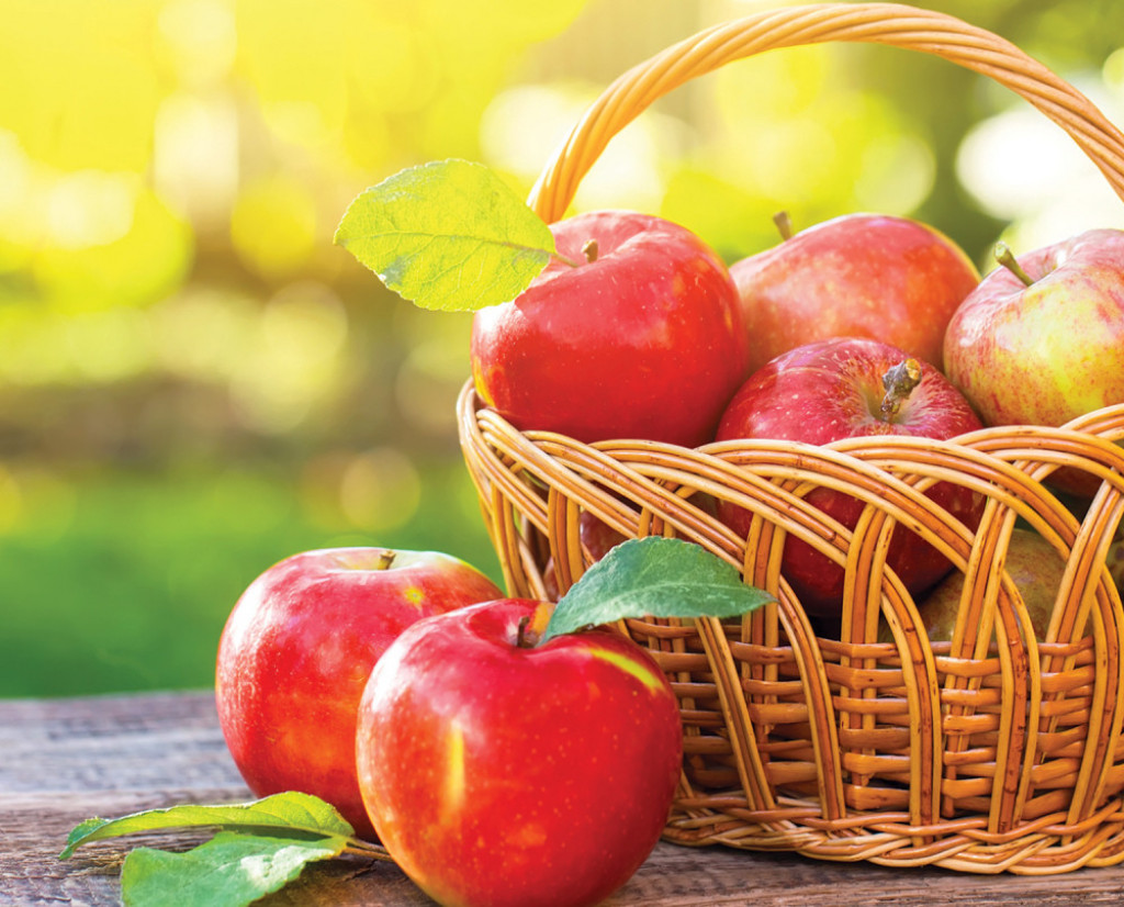 Poslastica kojoj nećete odoleti - lako se priprema! - Alo.rs